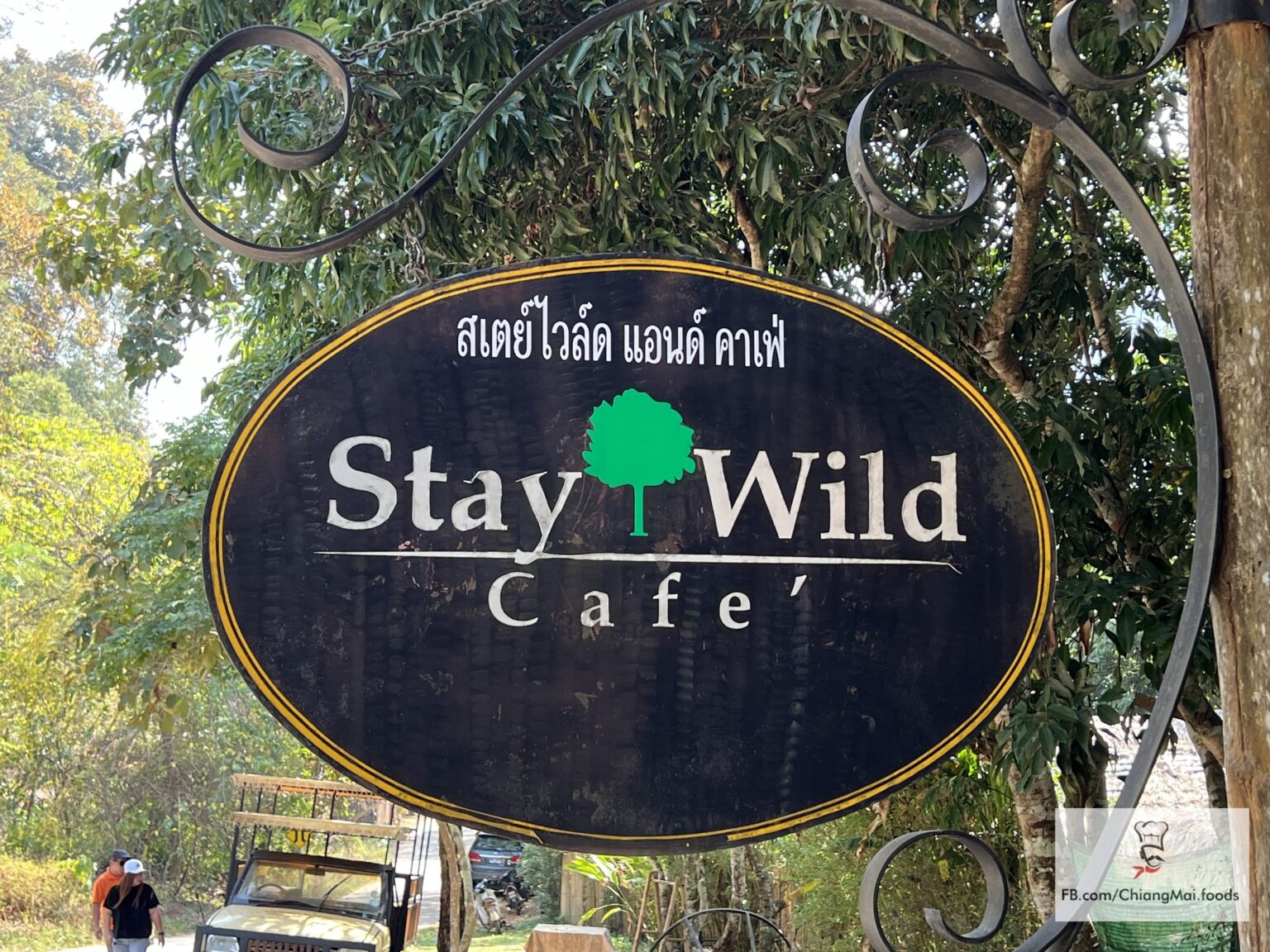 สเตย์ไวลด์แอนด์คาเฟ่(Stay Wild & Café) ทานอาหารริมลำธาร อ.แม่แตง ...
